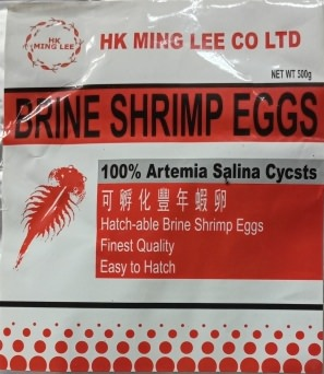 The Goldfish Gazette, Issue #144 Mistake Hatching Brine Shrimp